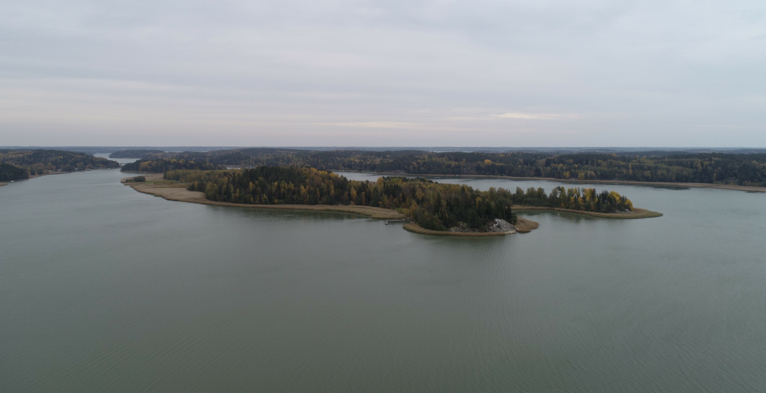 Byrokratia esteenä – mikä ratkaisuksi ruovikkoalueiden luvituksessa ...