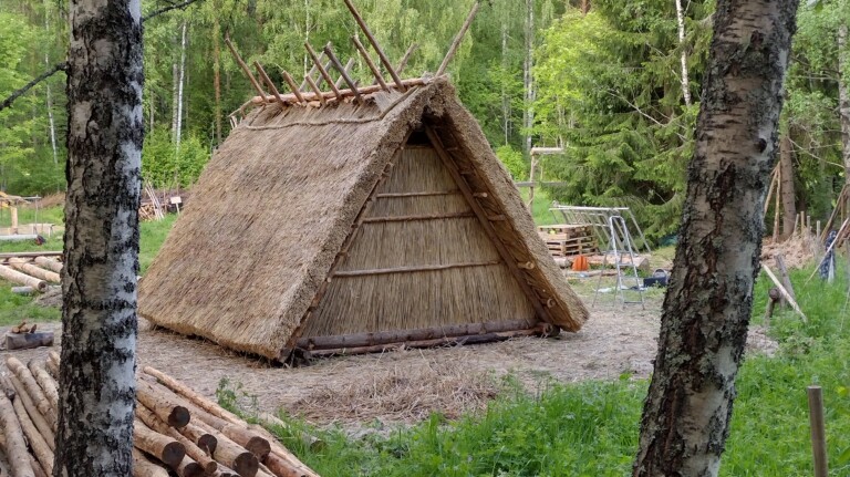 Uutiset ja tapahtumat | Järviruoko TurkuAMK